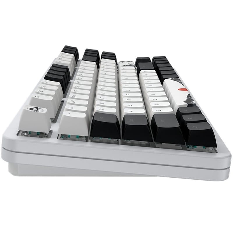 Клавіатура Dark Project 87 Fuji V2 White/Black (DPKB_FUJI_87_ANSI ...